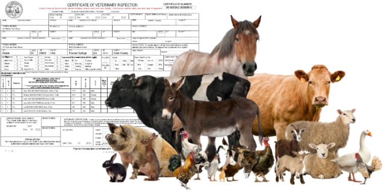 eCVI Software – Electronic Veterinary Inspection | Vet Sentry